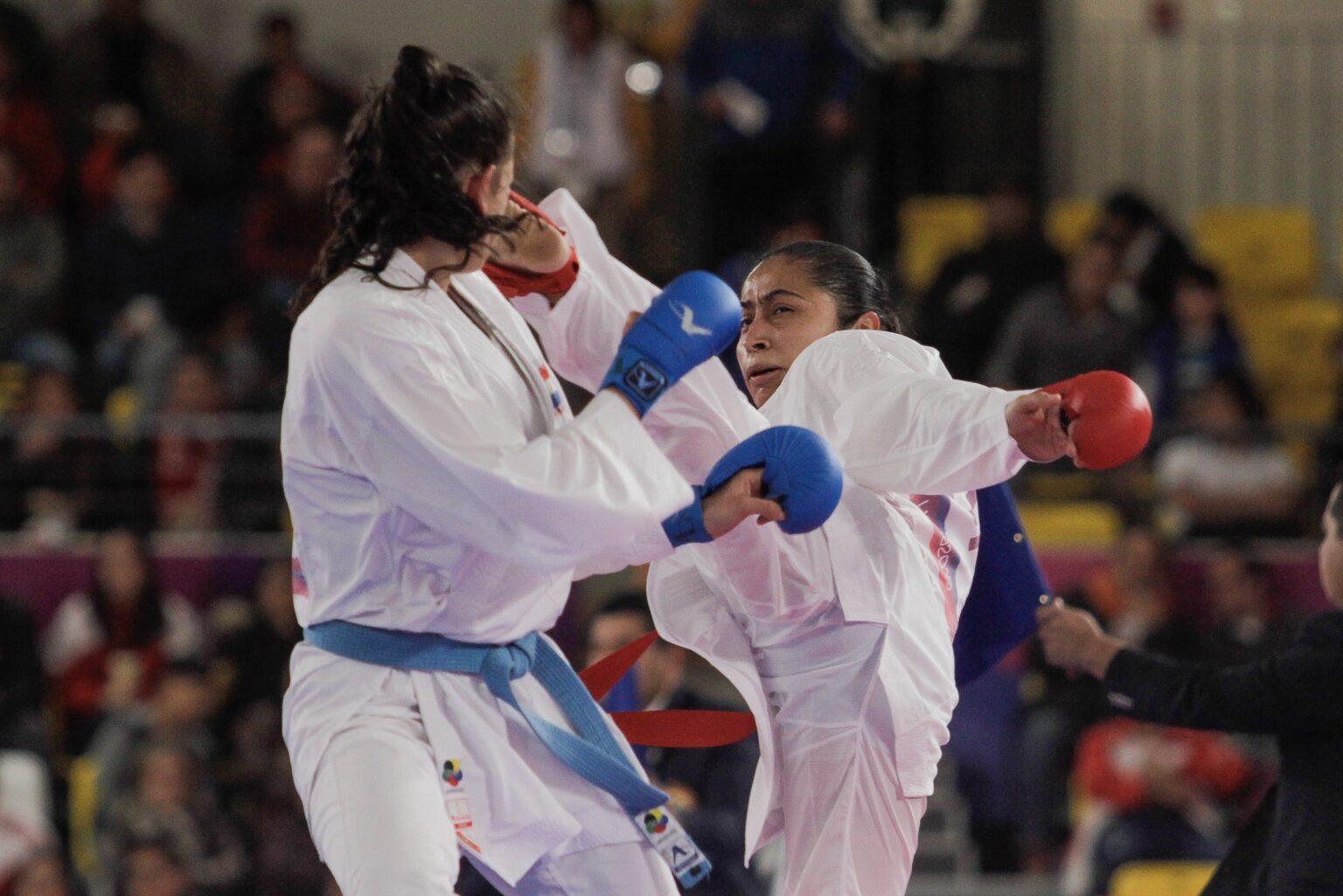 Historia del karate - Museo del Deporte Guatemala